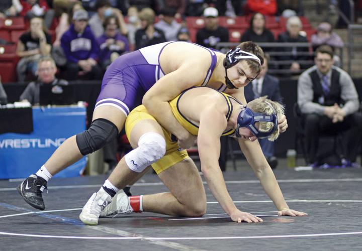 Wrestling: Stoughton’s Nicolar Rivera caps off third undefeated state ...