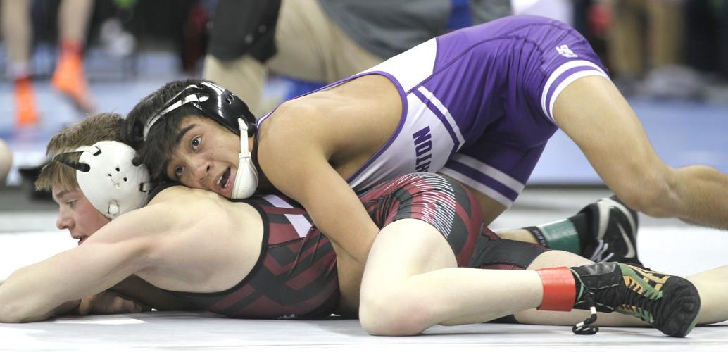 Wrestling: Stoughton duo pins down state titles | Sports ...