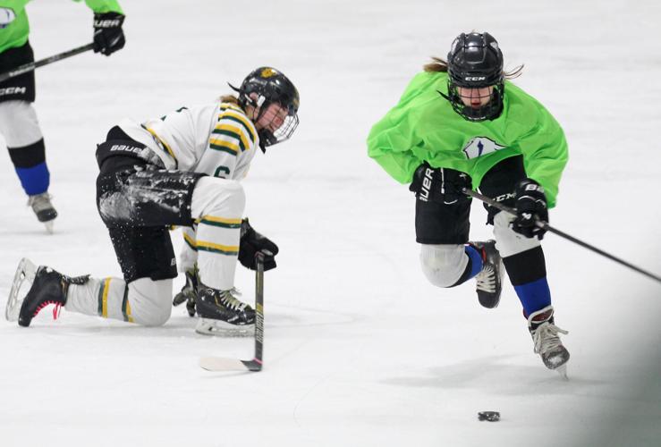 Girls hockey: Even with 1,239 shots faced, Stoughton’s Anika Mueller ...