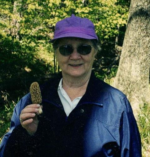 Sandra L. Gettinger | Obituaries | sullivan-times.com