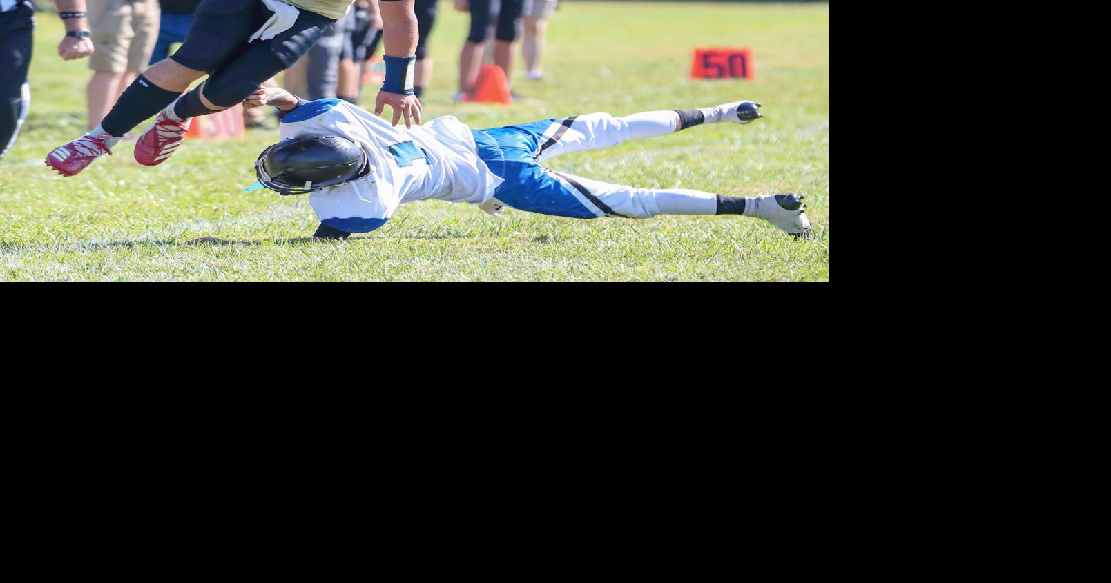 Bulldogs play for title on Saturday | Sports | sullivan-times.com