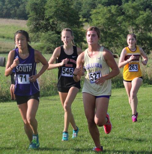 Sullivan harriers compete in elite meet | Sports | sullivan-times.com