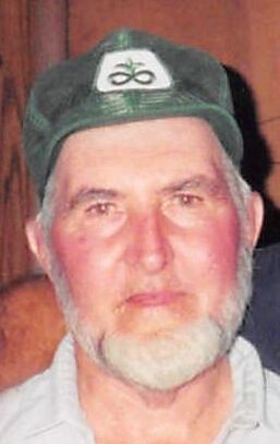 David Maurice Alumbaugh | Obituaries | sullivan-times.com