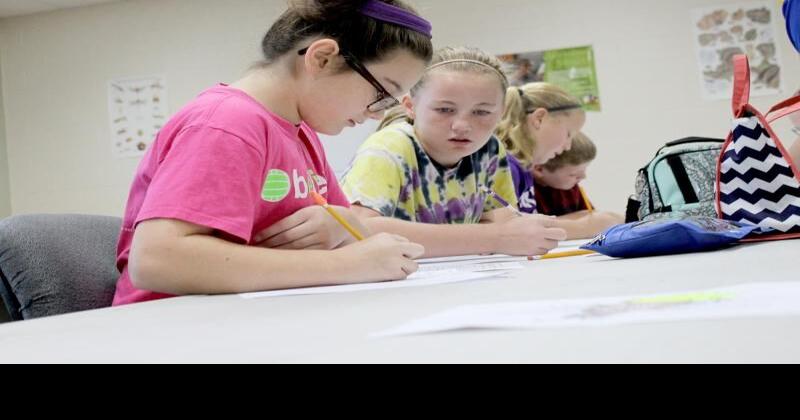 Quest to name Say's firefly the Indiana state insect ignites students ...