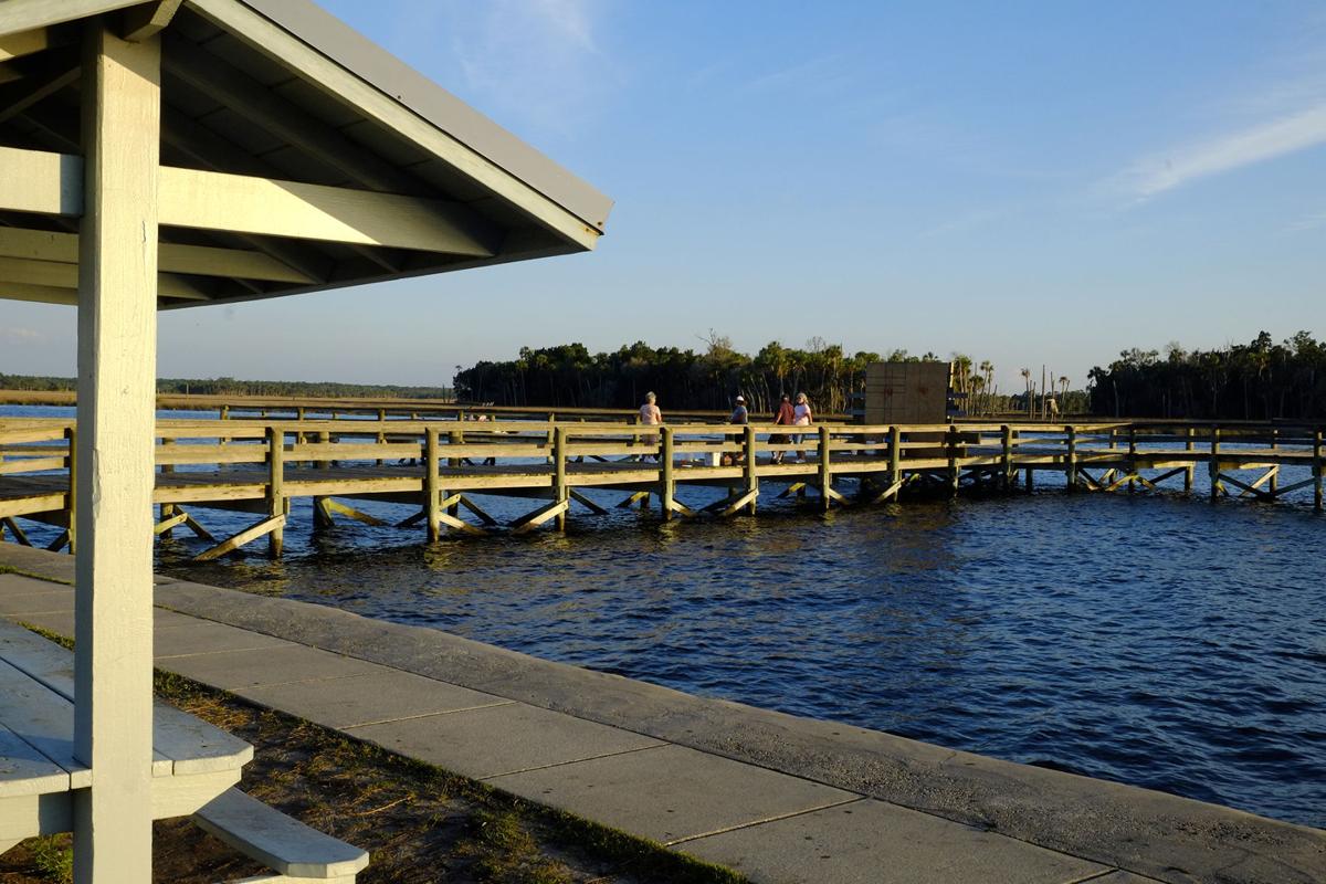 PHSC students to observe, record Bayport archaeological site | News ...