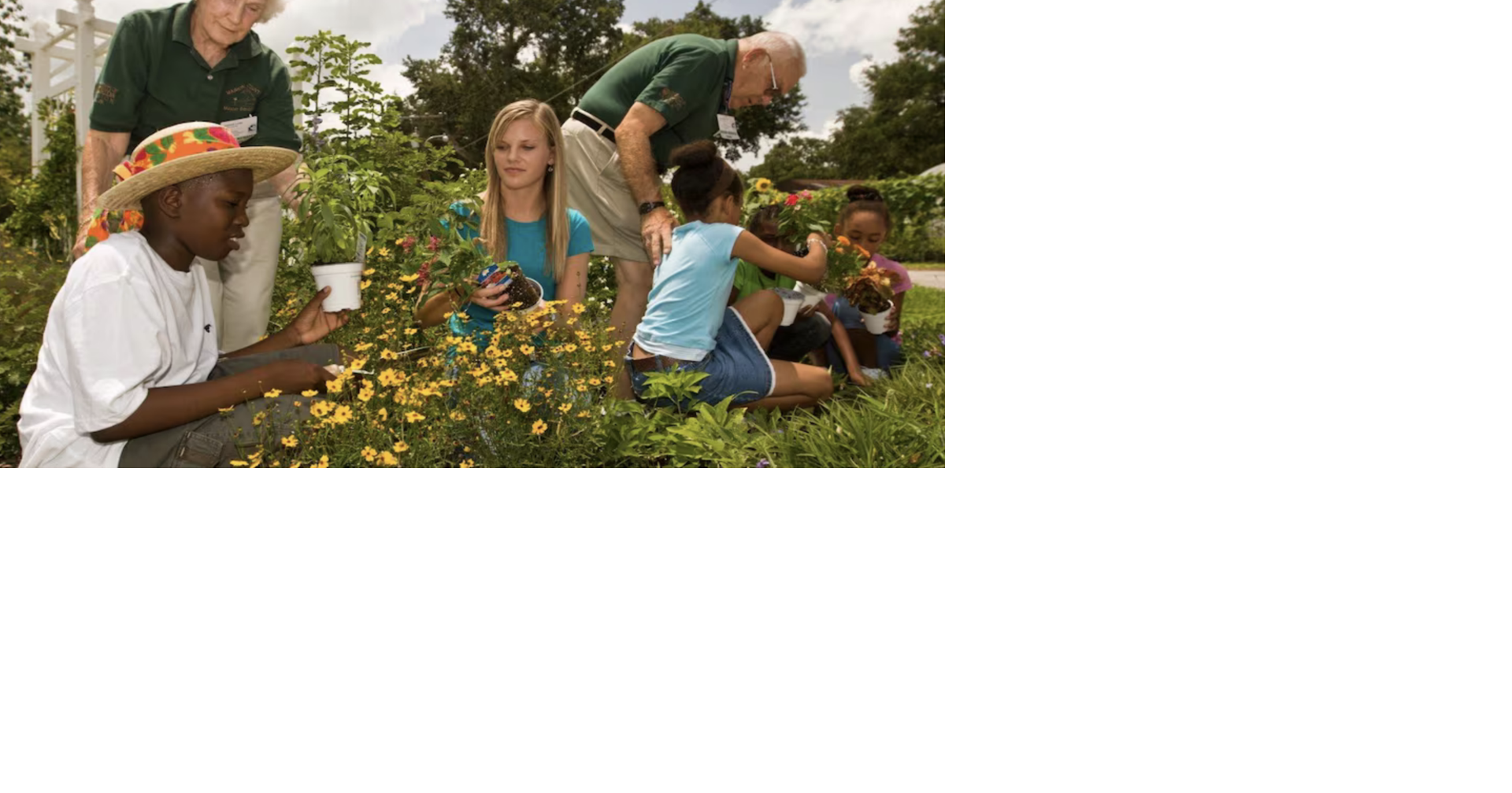 Pinellas preserves UF extension program educating on environment | News ...