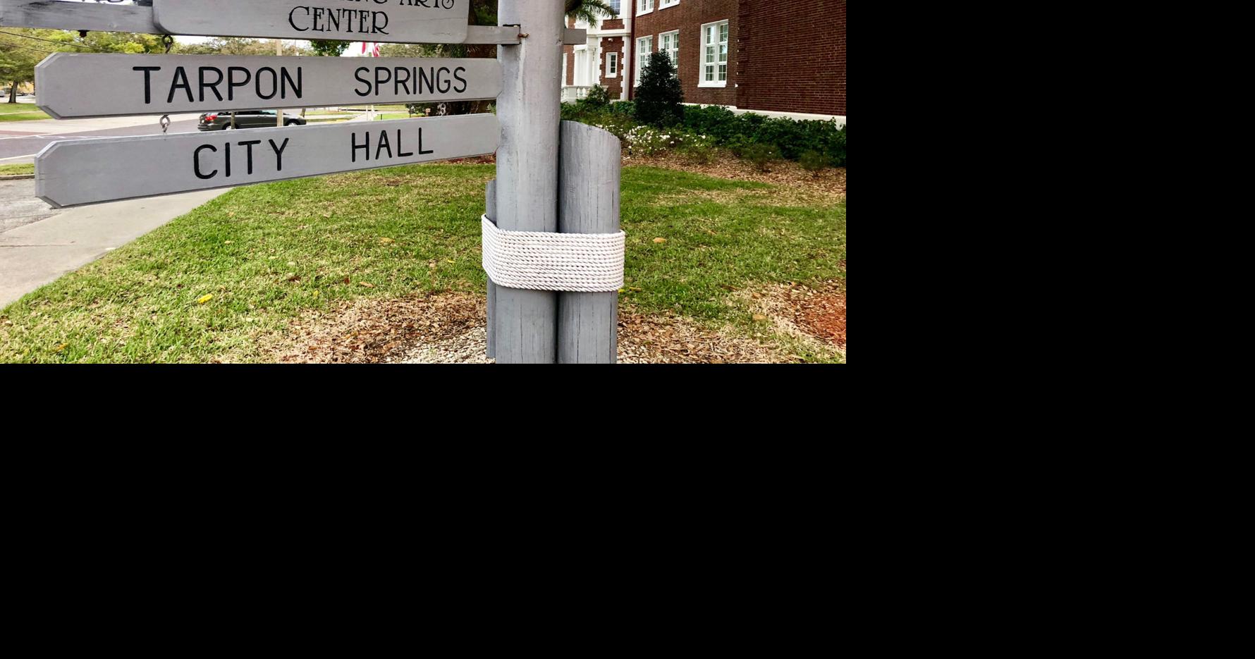 City commissioners suggest they will only consider experienced ...