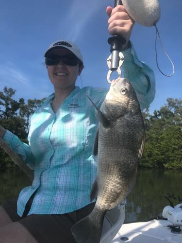 The Pasco & North Pinellas Fishin’ Report: Anclote River a good spot ...