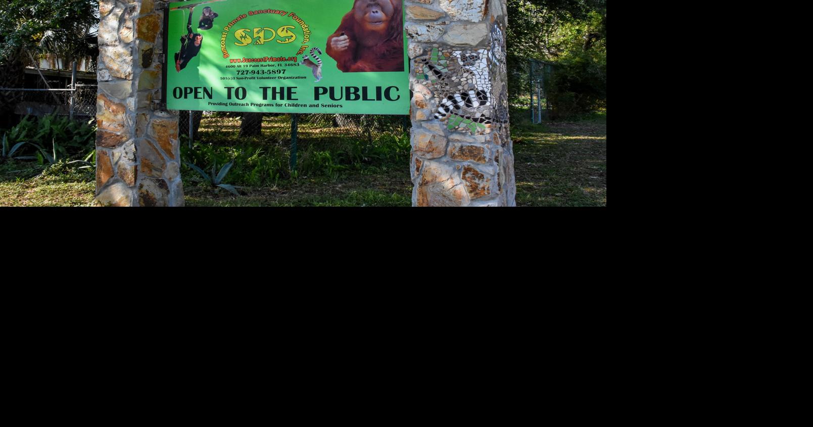 No asking price for ‘Chimp Farm’No asking price for ‘Chimp Farm’ | News ...