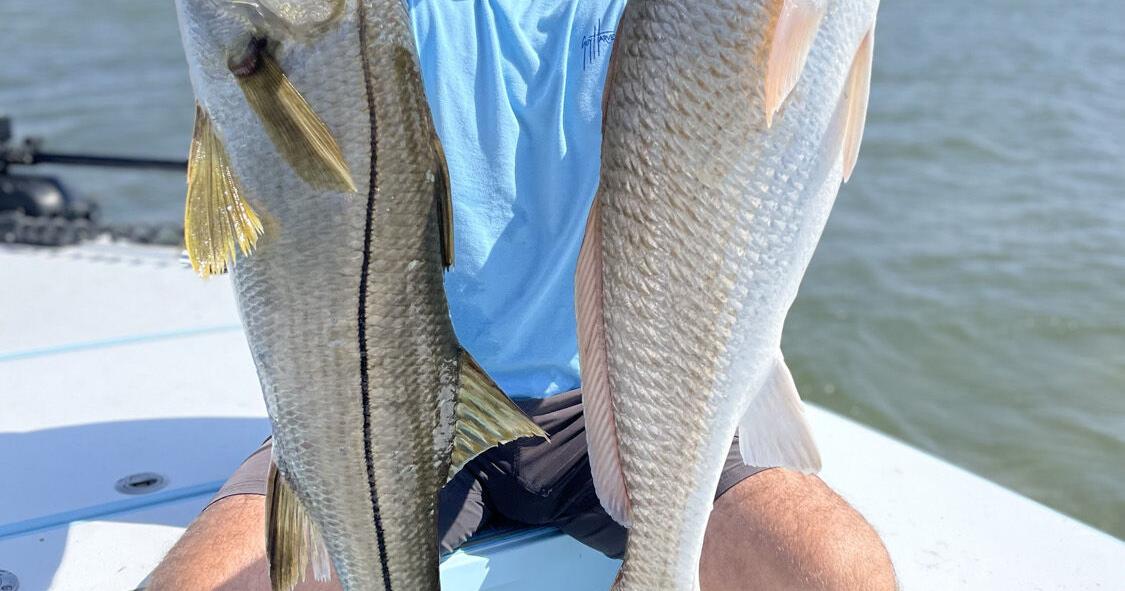 The Nature Coast Fishin’ Report: Anglers say snook fishing on fire ...