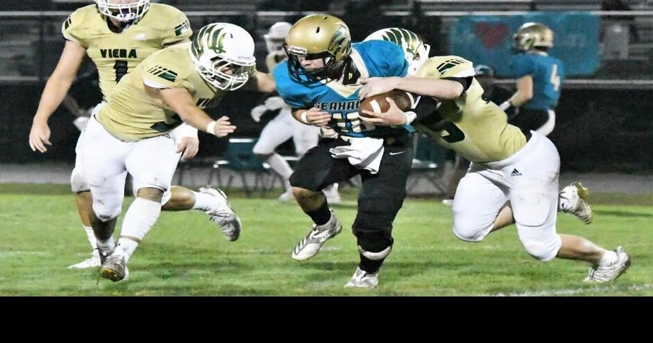 Sunlake Seahawks looking to fly high in spring | Sports | suncoastnews.com