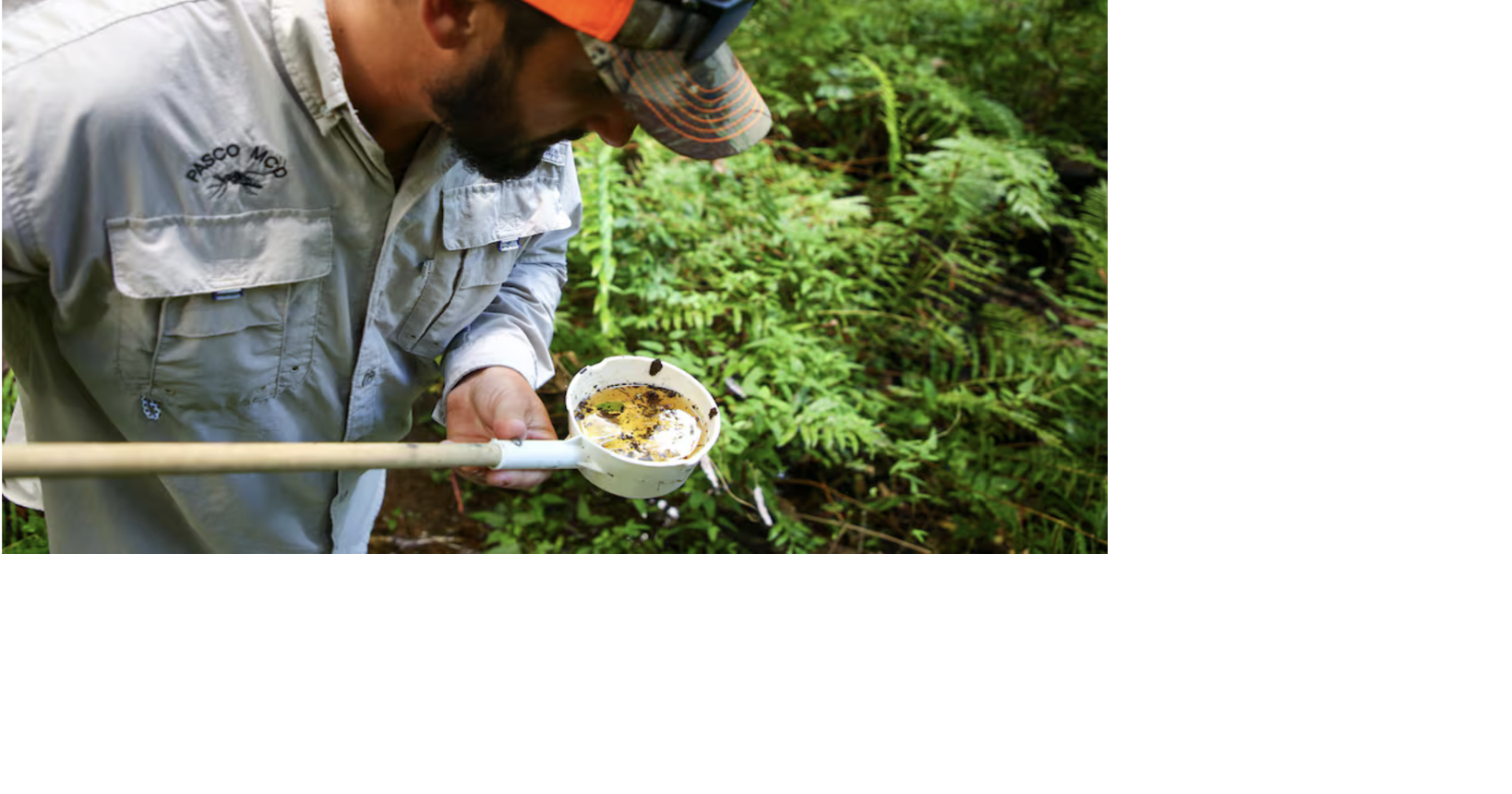 For Pasco Mosquito Control, chasing deadly pests is an endless cycle ...