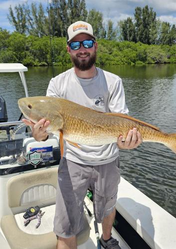redfish logout