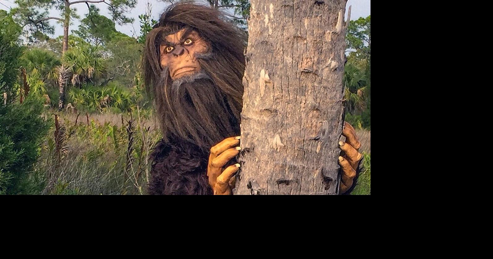 skunk ape