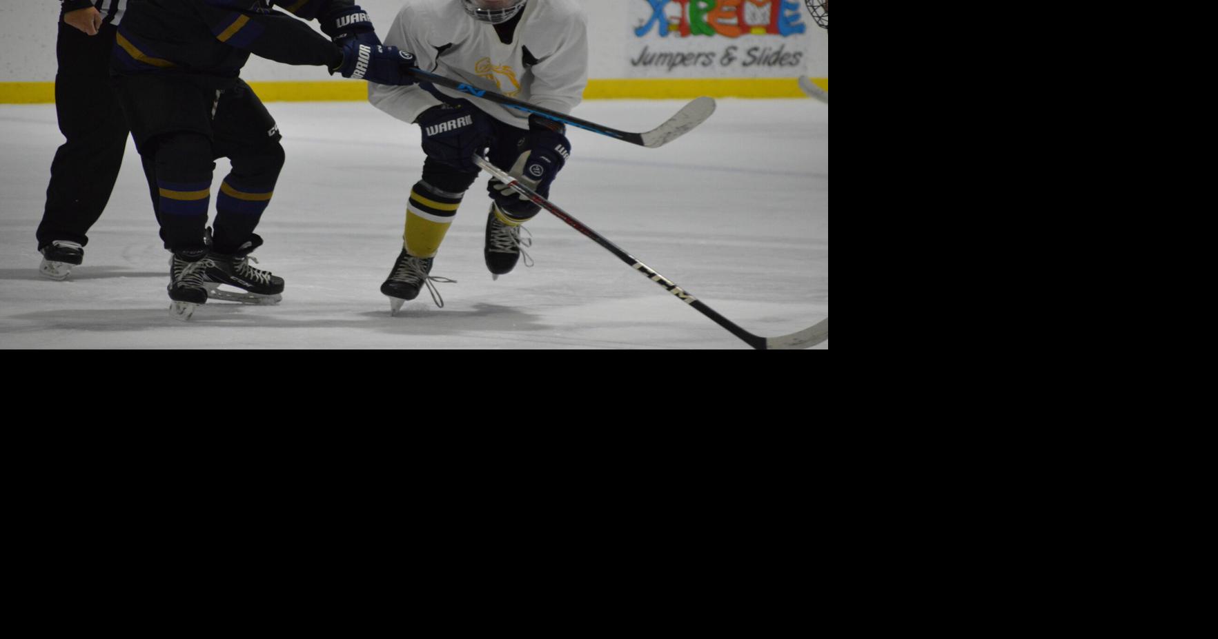 Powerhouse Mitchell’s ice hockey team is in a rebuilding mode | Sports ...