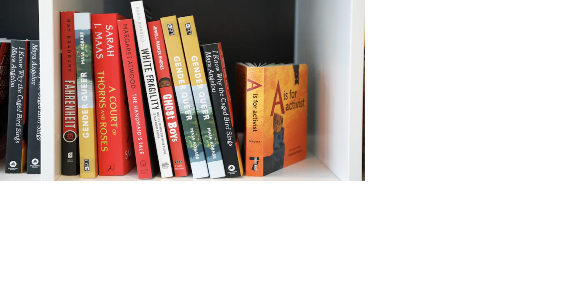 Pasco school district’s book challenge process remains | News ...