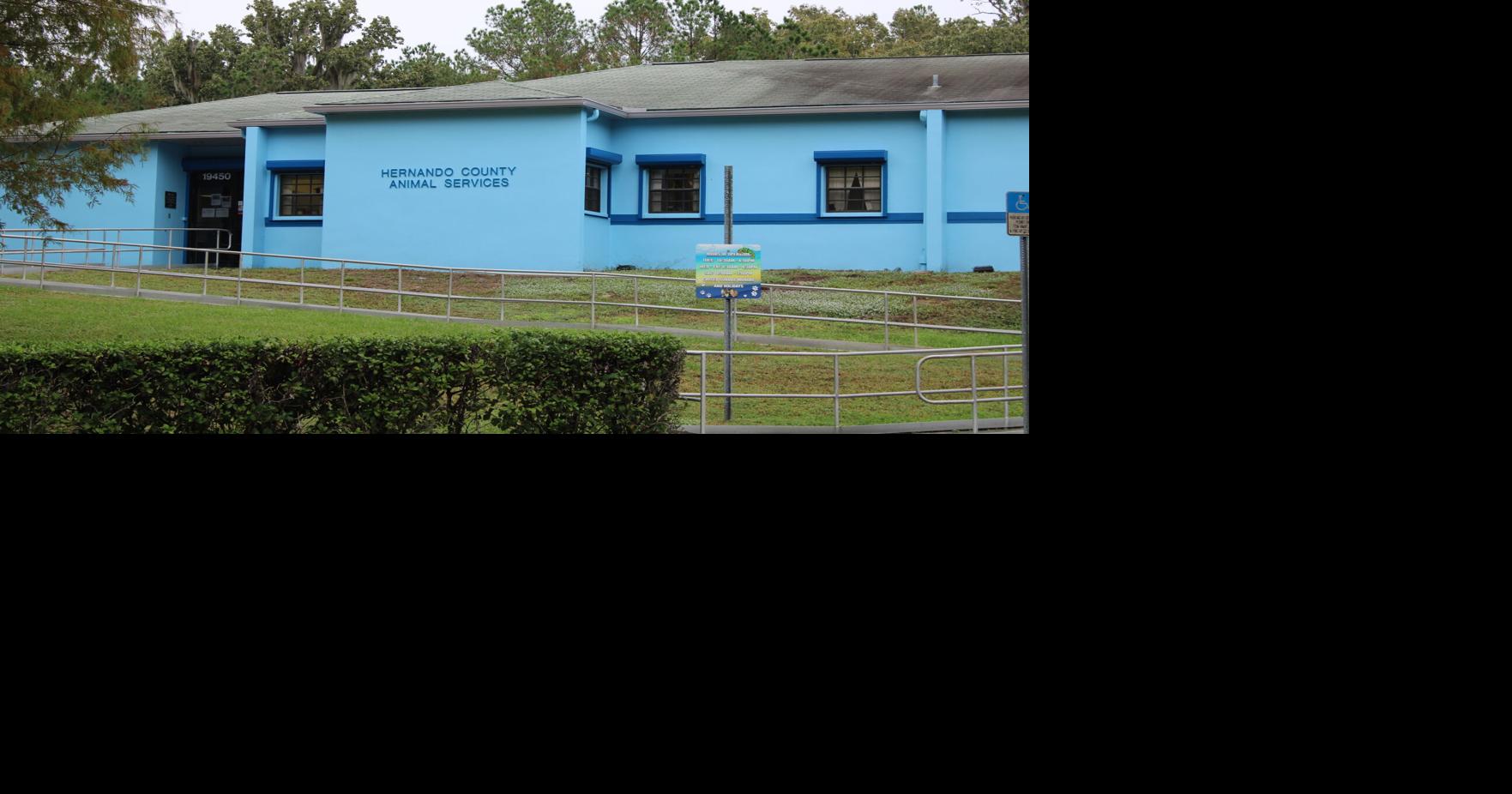 Complaints lead to County Commission calling for audit of Hernando ...