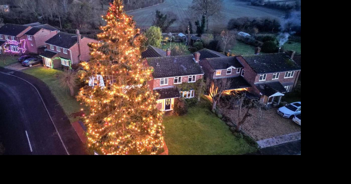 52-Foot Christmas Tree Grows from $6 Sapling into Community Landmark ...