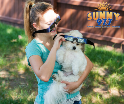 Solar Eclipse 2024: How to Keep Your Pets Safe and Comfortable ...