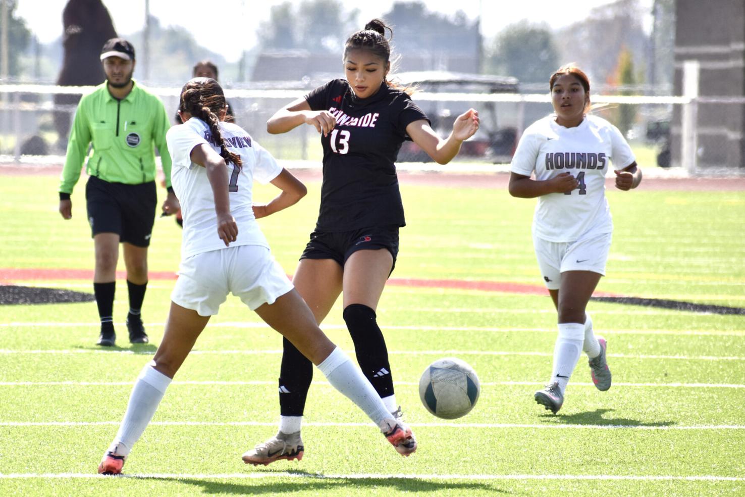 Grandview | sunnysidesun.com