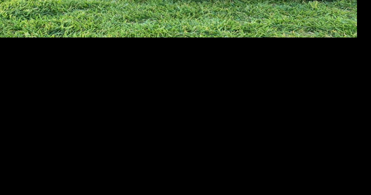 Edith Madrigal | Graduation | sunnysidesun.com