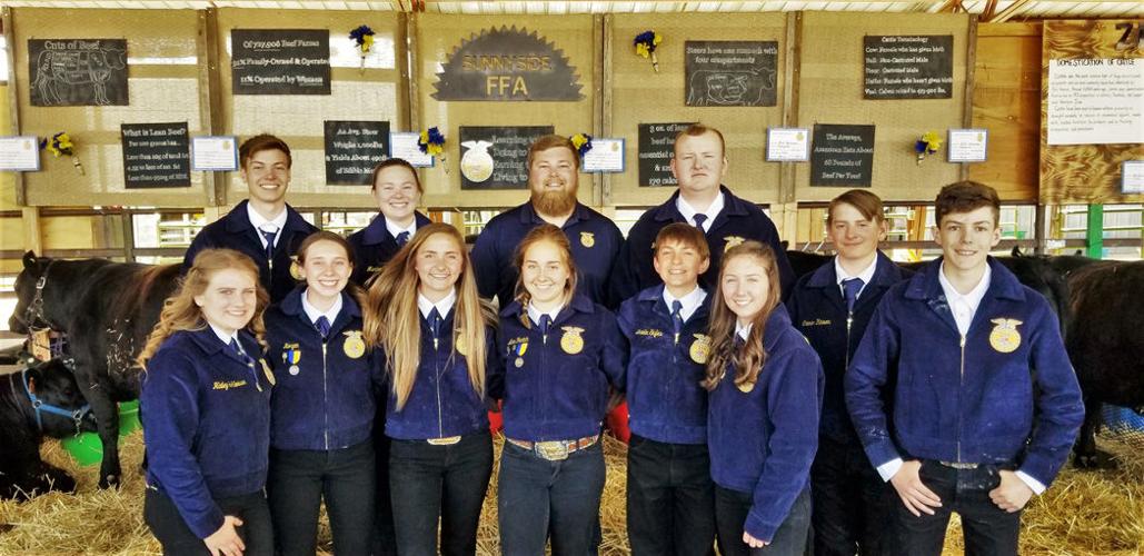 FFA member goes out on a lamb | Agriculture | sunnysidesun.com