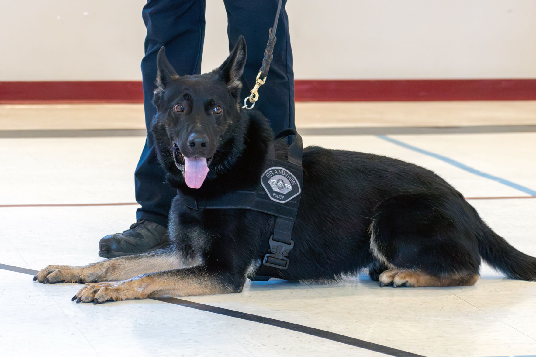 Local News | sunnysidesun.com