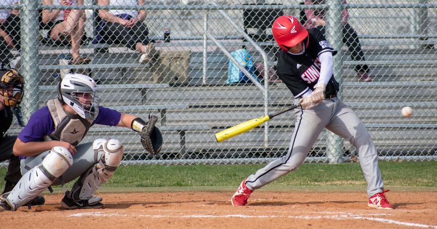 Grizzlies suffer three-game sweep against Panthers | High School ...