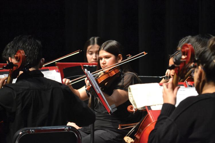 SHS music receives performance awards | News | sunnysidesun.com