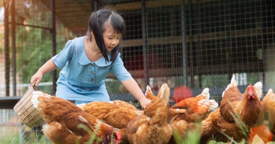 Sunnyside Community Center offers fun-filled farm animals week ...
