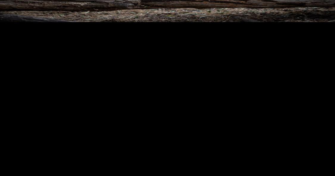 Kiara Sanchez | Virtual Graduations | sunnysidesun.com