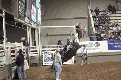 14th Annual Ridin’ for Cash Bull Bash Coming Saturday, February 18 ...