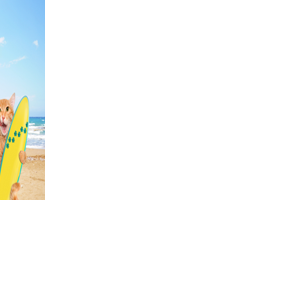 MS SPAN seeking donations for Summer Spaytacular | News | swrankinnews.com