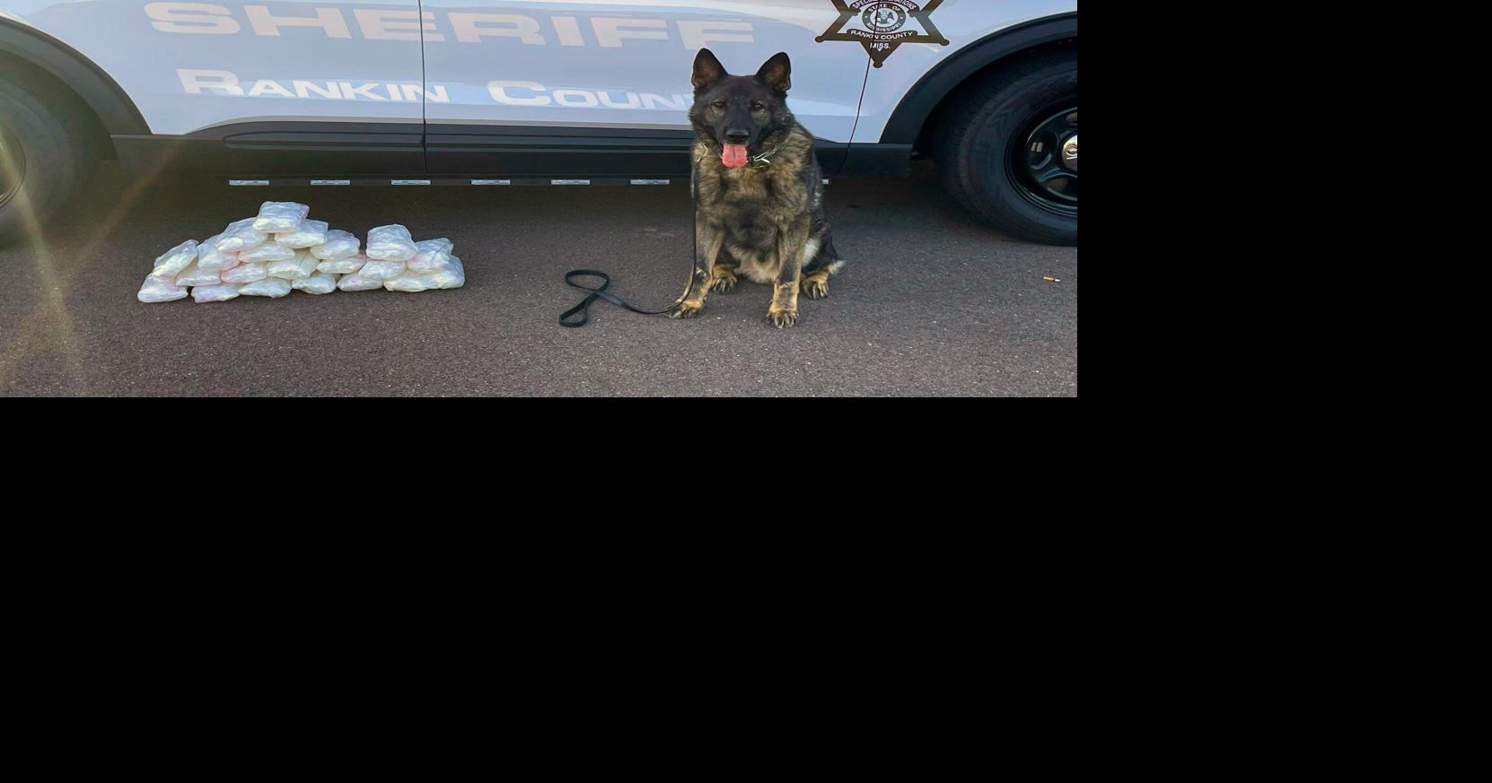 Rankin County Sheriff’s Office K-9 “Voodoo” assists in arrest | News ...