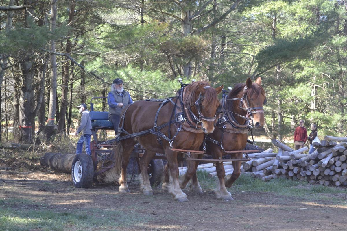 Local documentary screening this weekend