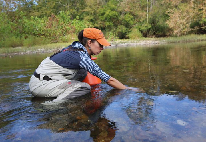A virus could be killing Clinch River mussels