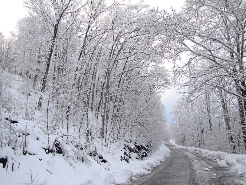 Spring snow storm strikes Wythe, Bland