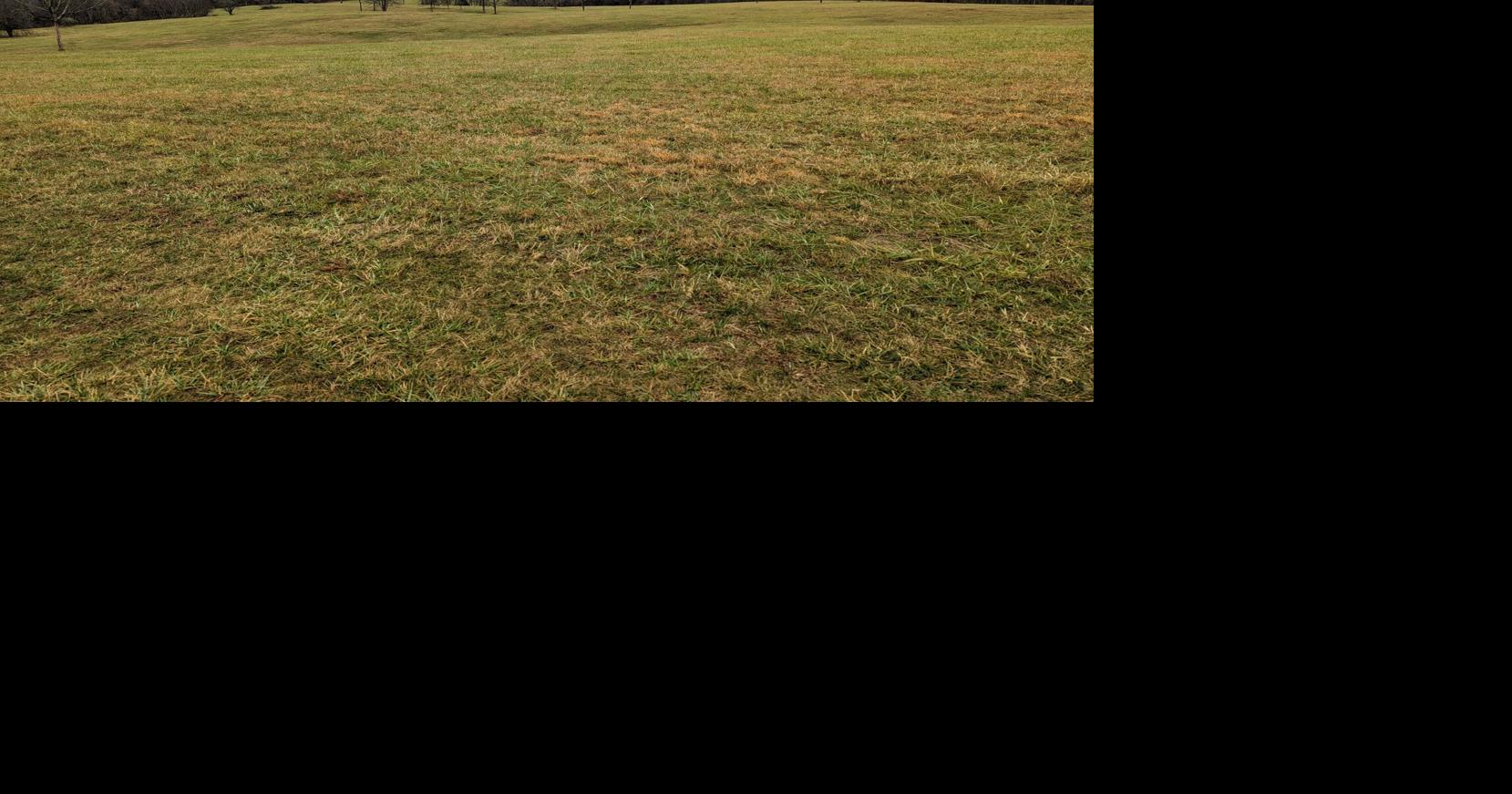 Exploring Virginia's newest spot