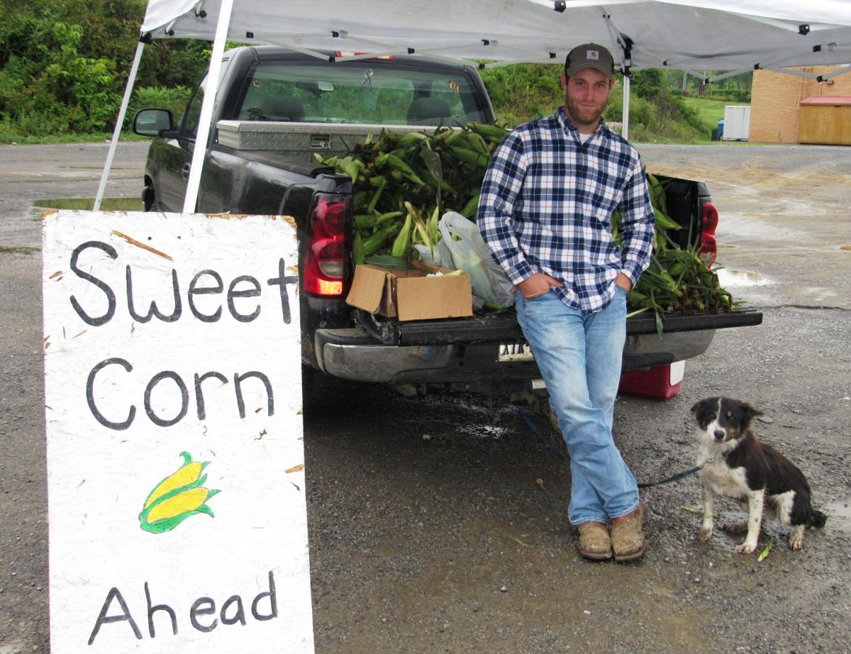 Young farmer finds summer cash crop in sweet corn