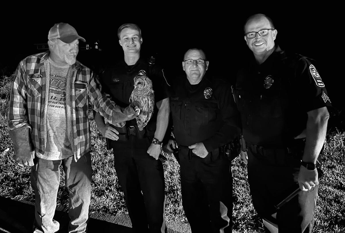 Marion officers, local wildlife rehabilitator rescue disoriented barred owl