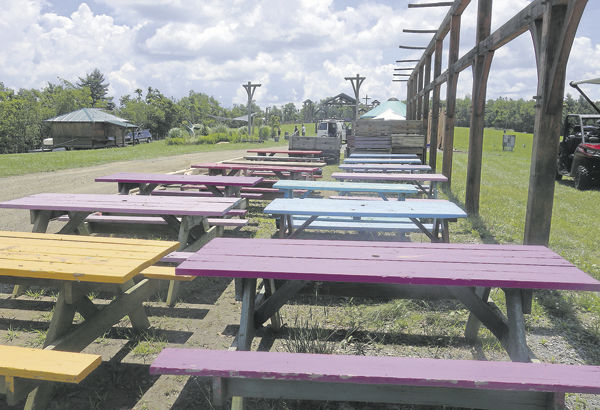 Floydfest gearing up for Voyage Home | Entertainment/Life | swvatoday.com