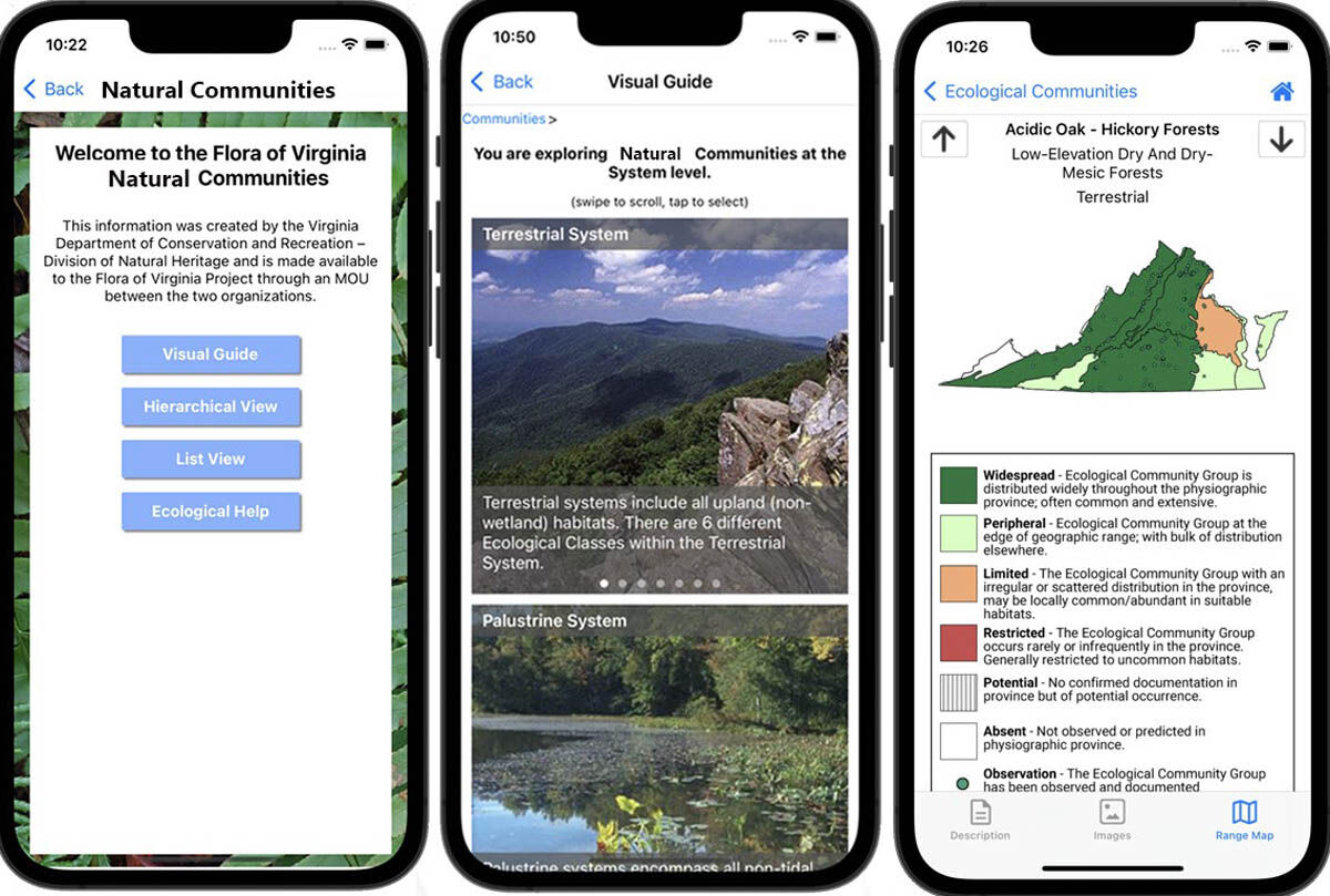 Flora of Virginia Project releases new smartphone app