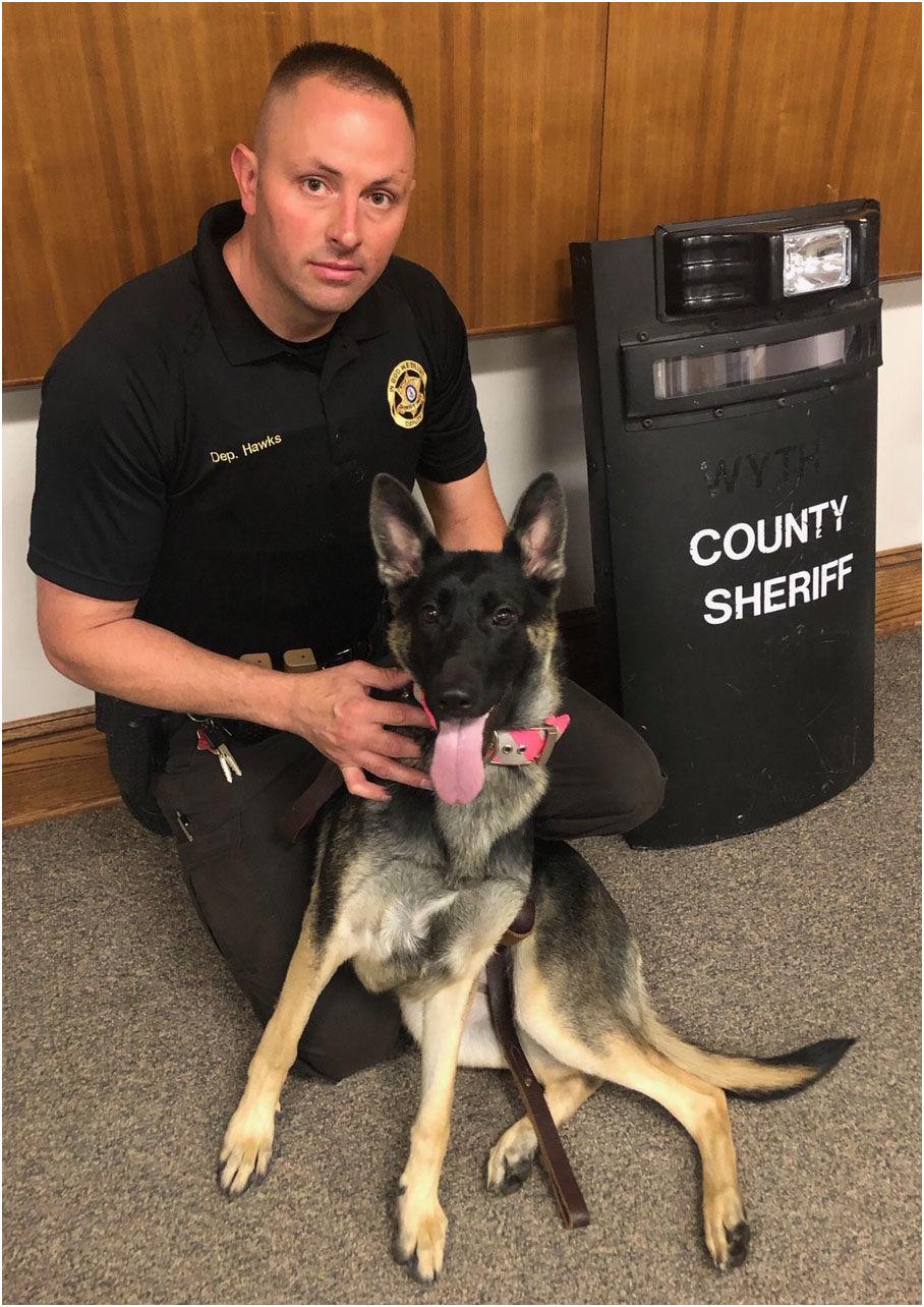 Meet Wythe's new dog deputy