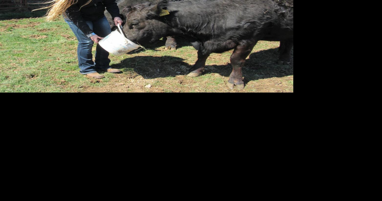 Carlee Taylor is top winner in 19-county regions of Virginia