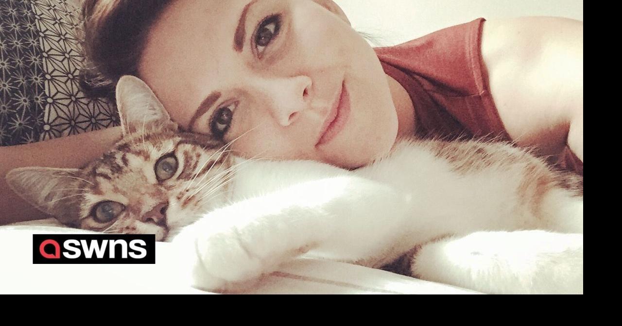 Cat missing for seven years found 300 yards from home