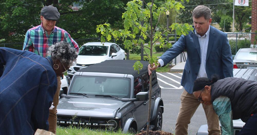 Remember the tears: Next generation Crying Tree planted in Marion