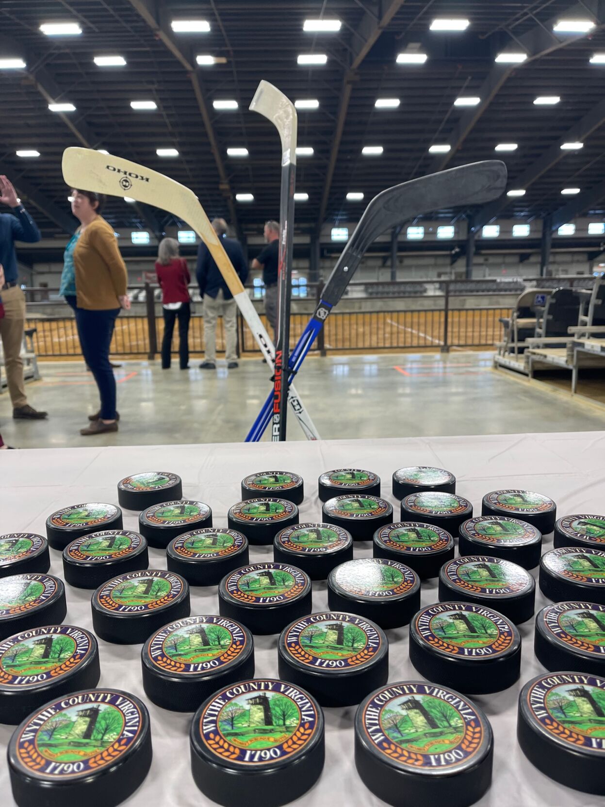 Apex Center readies for ice hockey team