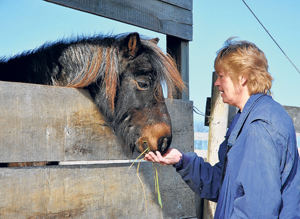 Promised Land Animal Rescue in Smyth is on a mission to save lives