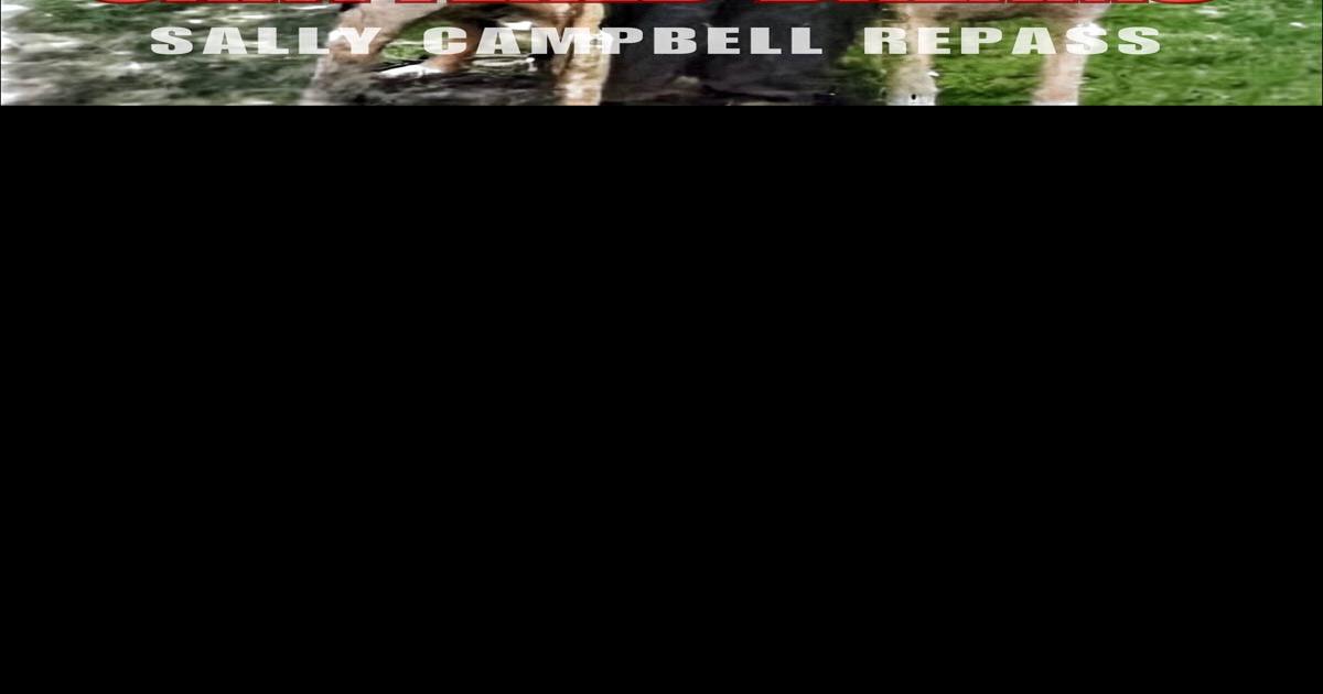 Repass begins new series with 'Shattered Dreams'