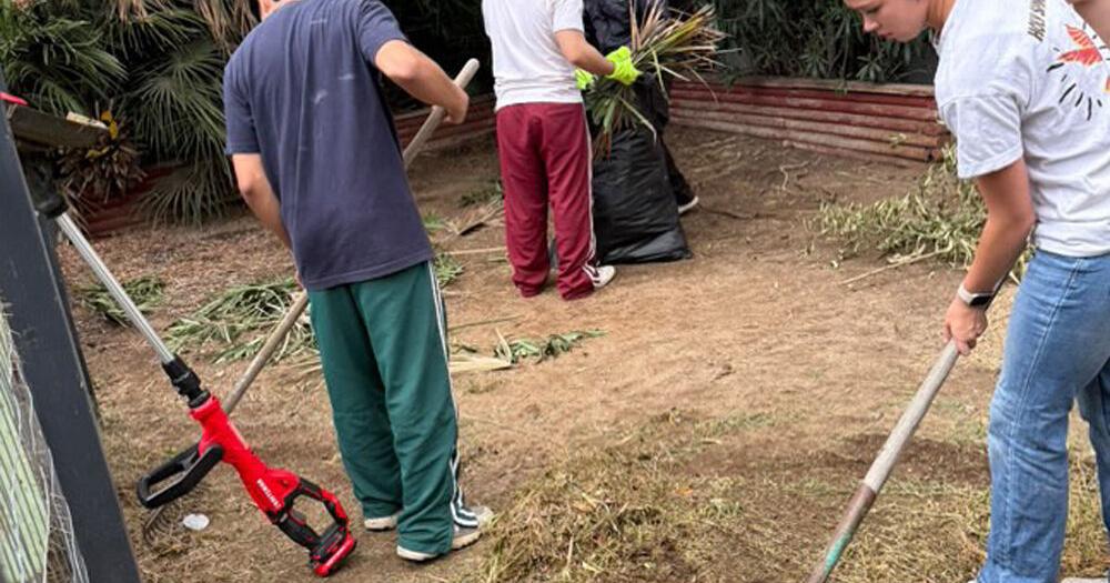 TUHS students clean yards to raise money for fireworks show | News ...